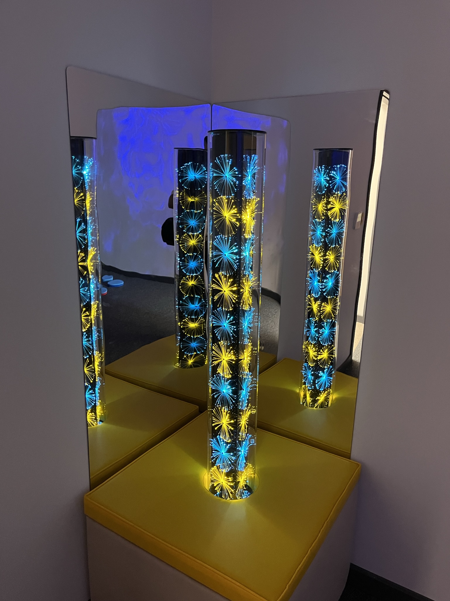 Our Curriculum | The Compass School